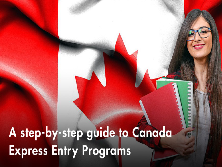 Immigration and Visa Consultants in India, Dubai, and Canada